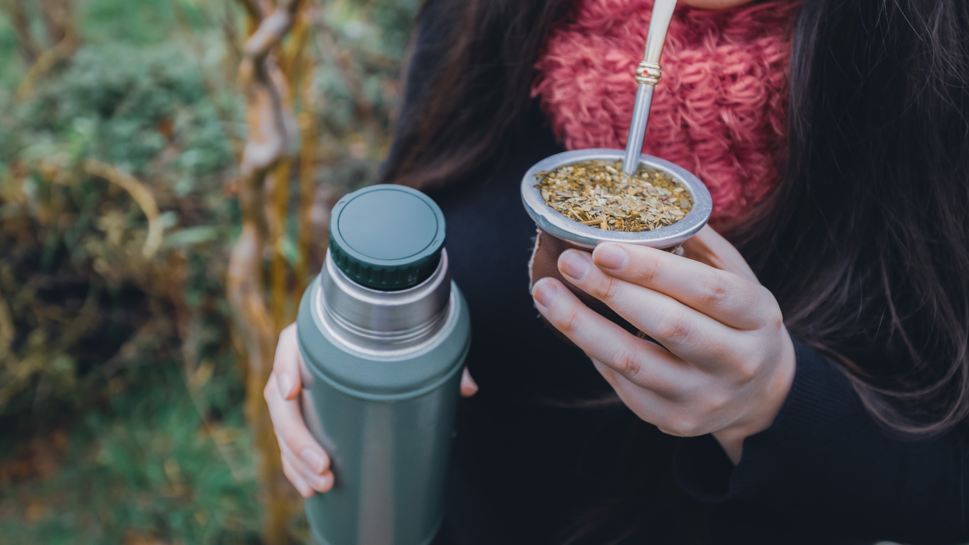 Cómo Elegir y Preparar la Yerba para el Mate y Tereré Perfecto - Yerba ...